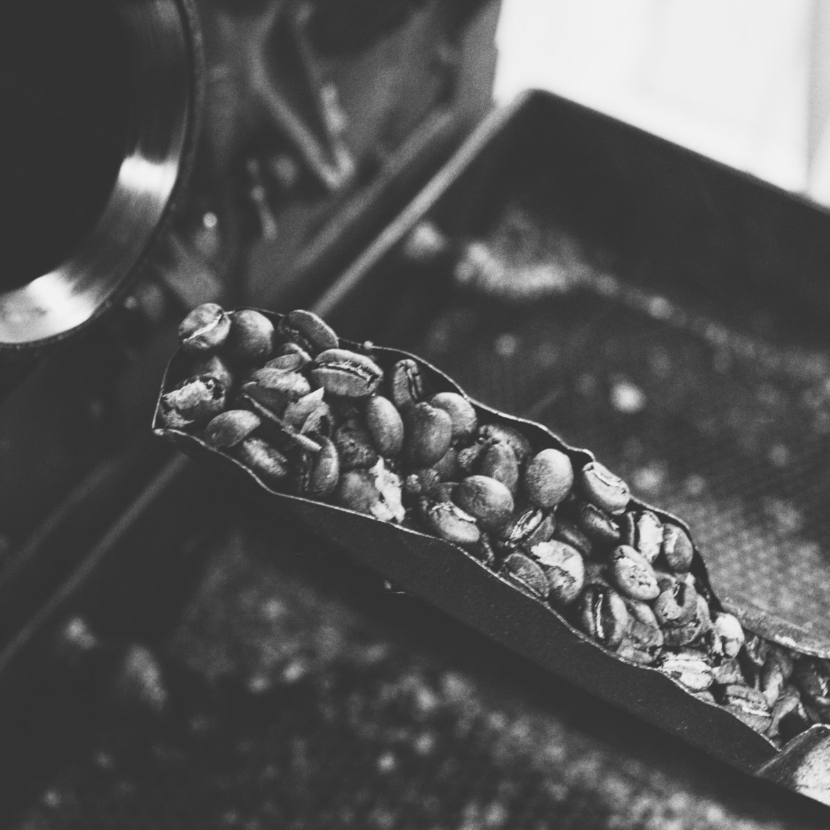 Java Works Coffee Roasters | Specialty Micro-Lots – Javaworks.ca