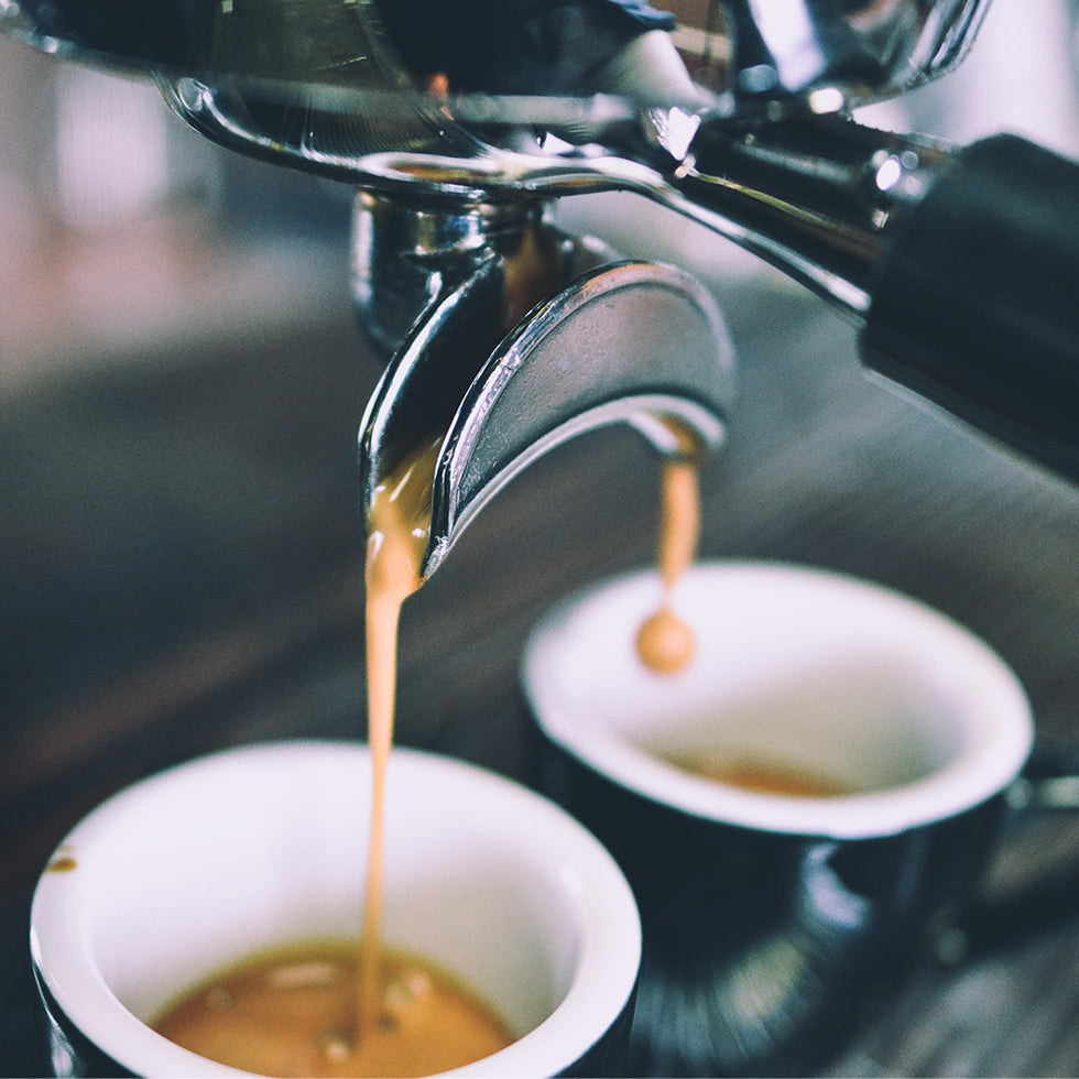 Java Works Coffee Roasters │ Shop Coffee, Tea & Gear Online in Canada ...